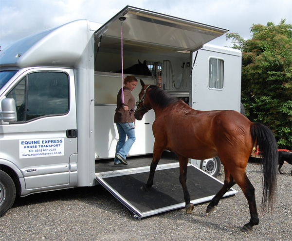 Equine Express - UK-wide Horse Transport Service