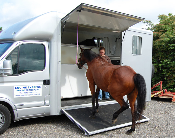 Equine Express - UK-wide Horse Transport Service