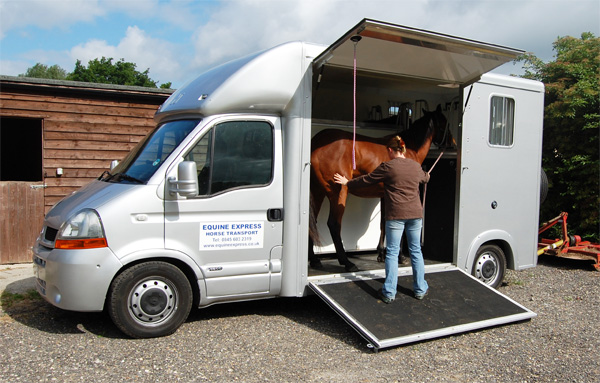 Equine Express - UK-wide Horse Transport Service