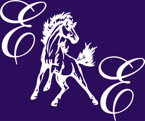 Equine Express - The Horsebox